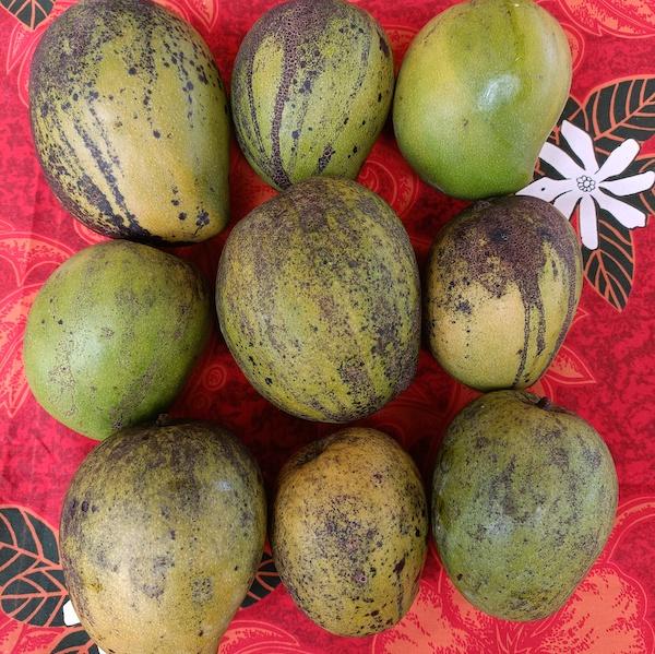 E'lien | Mangue Ohure pio